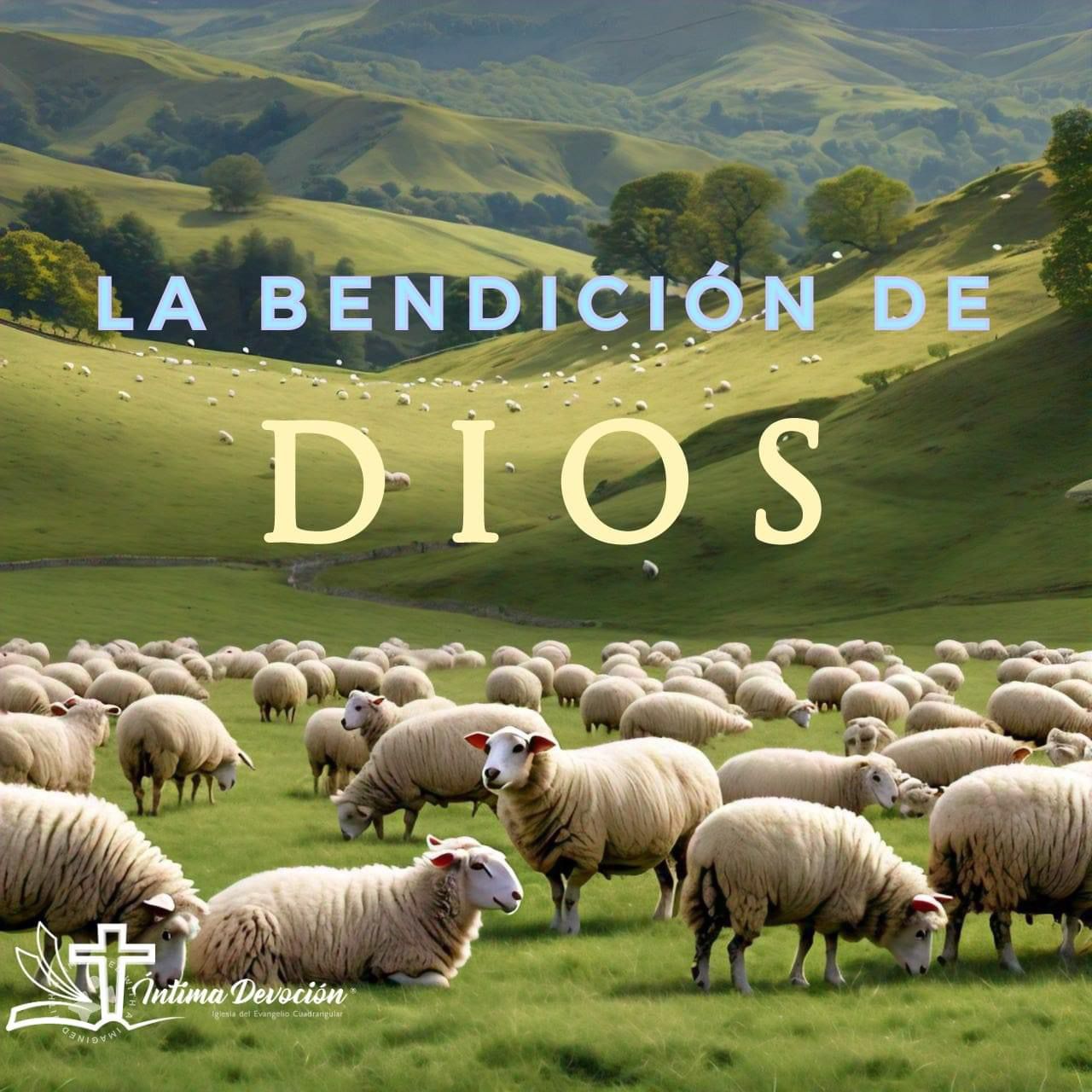 La bendición de Dios: fuente de prosperidad - Íntima Devoción IEC